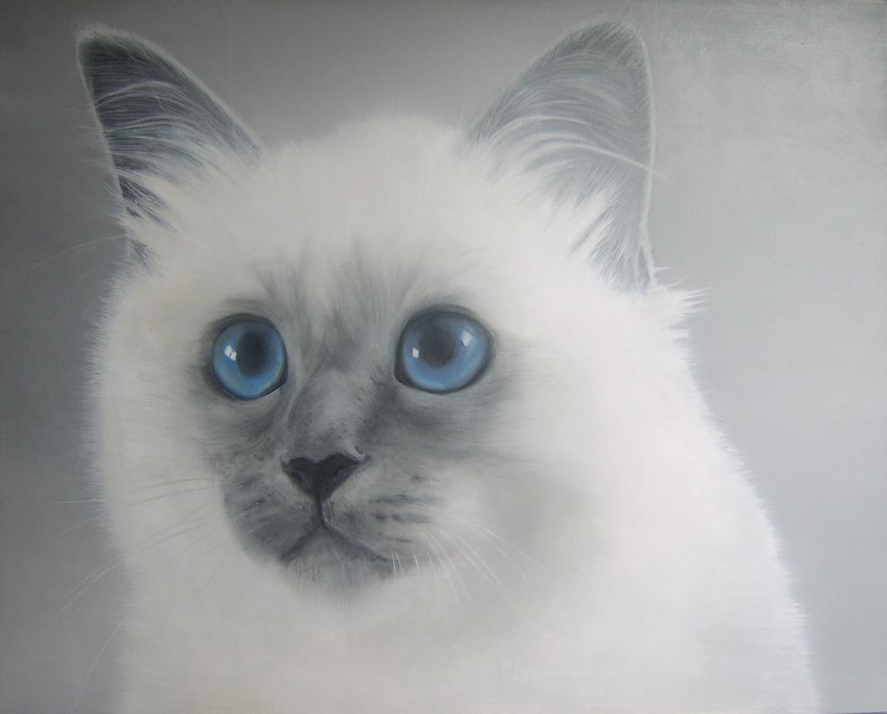 Toupay : Huile sur toile - Frédéric Andres